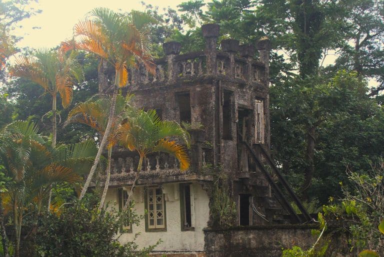 7 Must-Try Cultural Experiences In Cairns