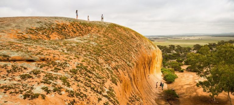 Motorhome Relocation: Perth to Sydney